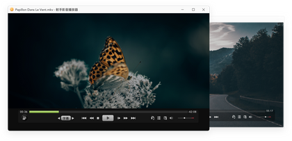 SPlayer - Neat, Safe, High Performance | SPlayer
